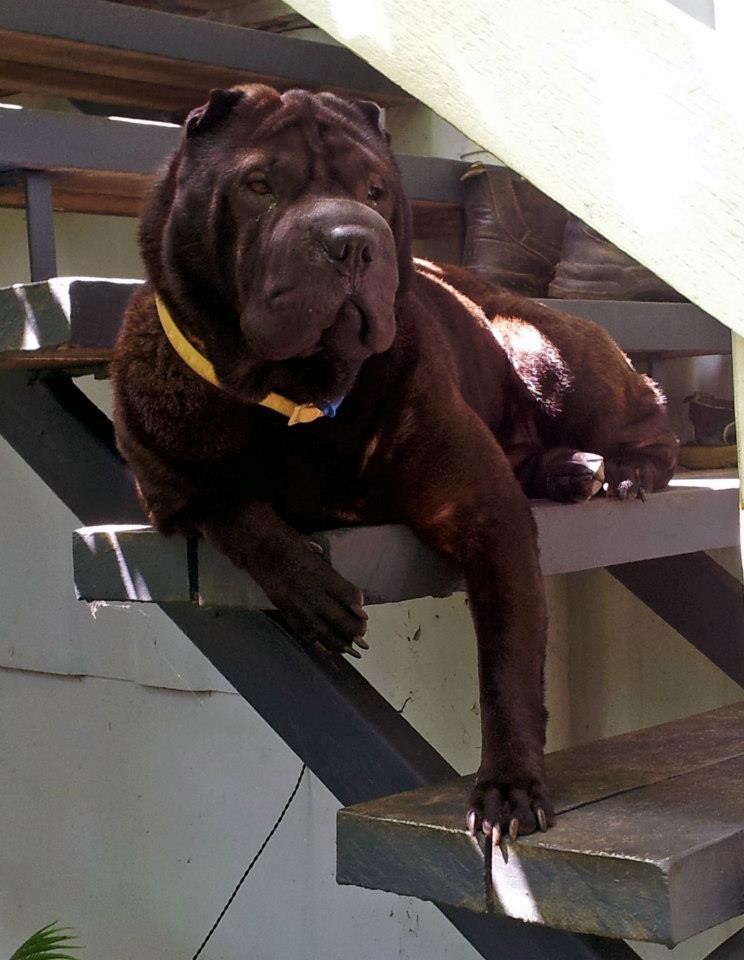 Gallery: Neil Mitchell made the mistake of asking whether people take ...