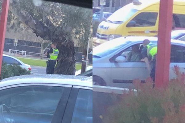 Police officer snapped hiding behind tree to nab driver's details