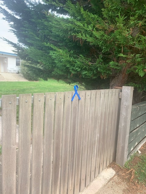 Blue blitz: Victoria turns blue with tributes to fallen police