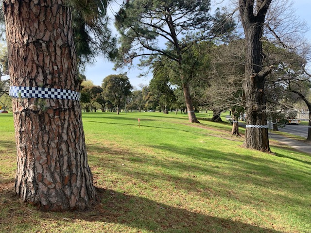 Blue Ribbon Day: Show your support for police on the front line