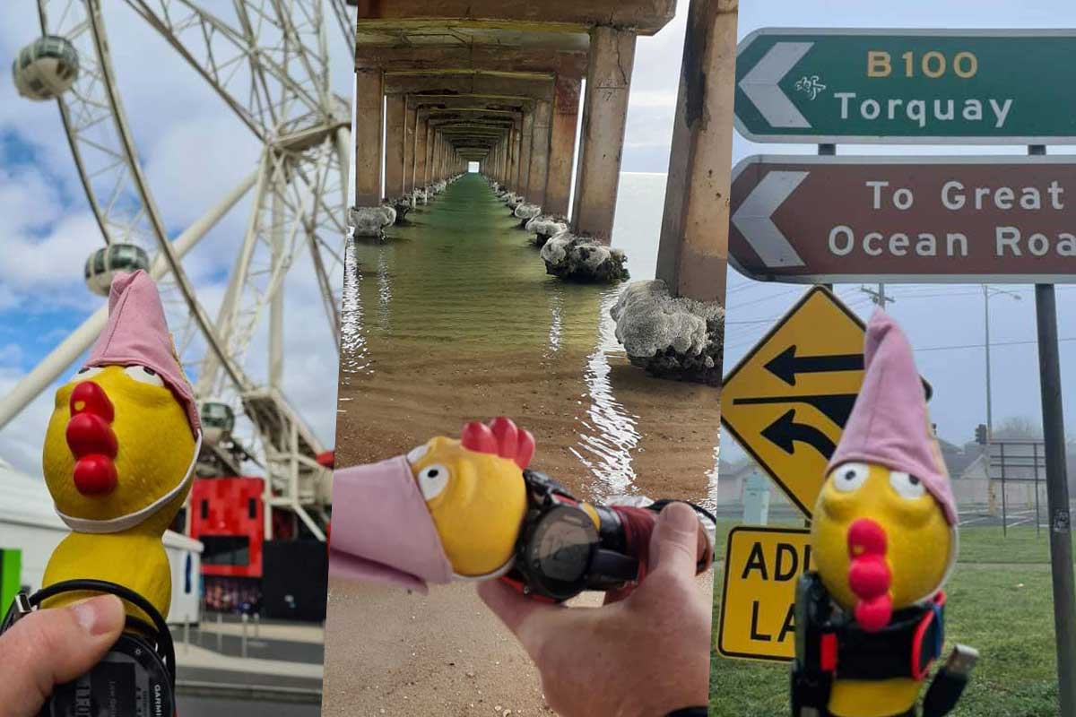 How this rubber chicken has made its way around Victoria during lockdown