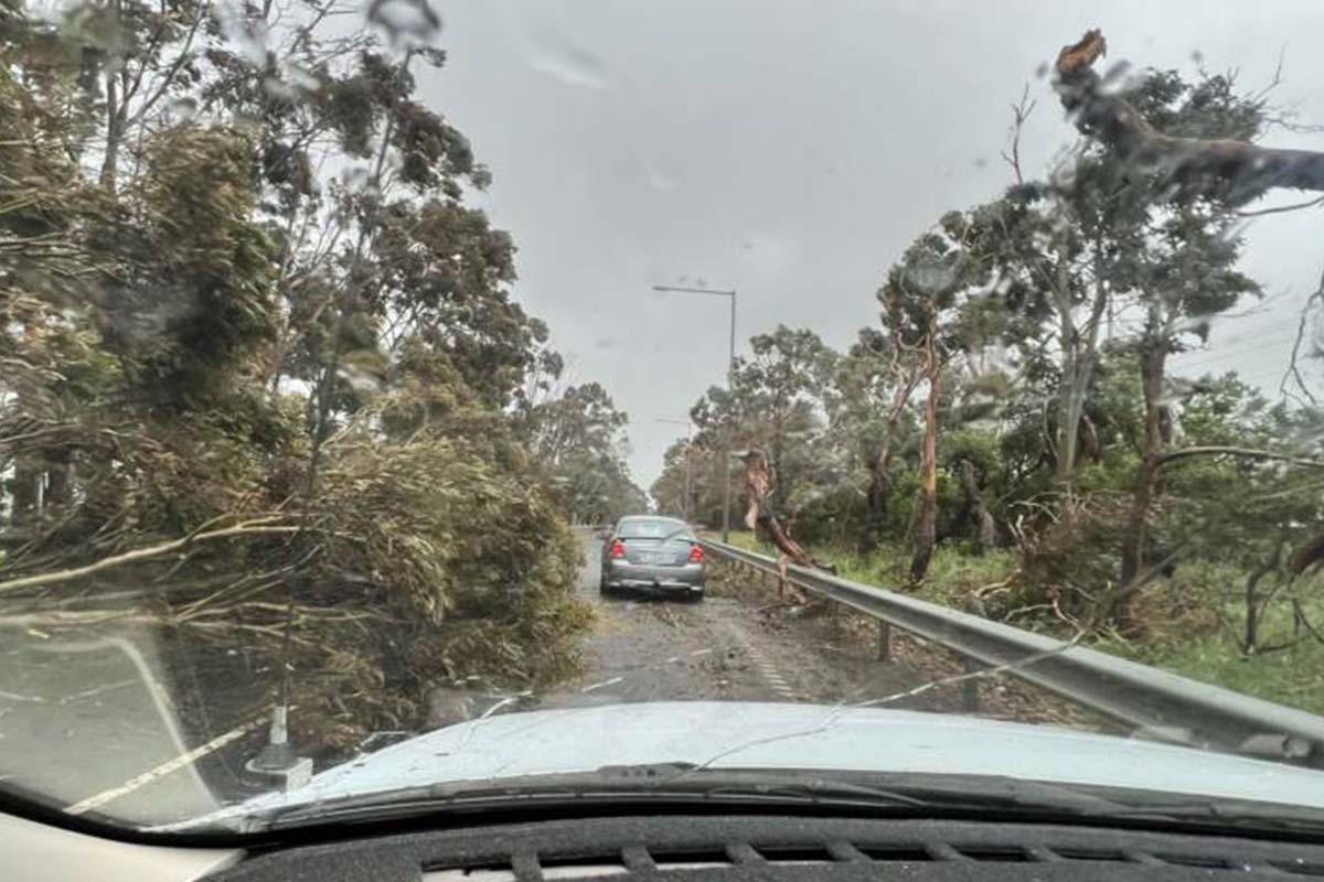 Residents fear 'new normal' as power outages stretch into fifth day for ...
