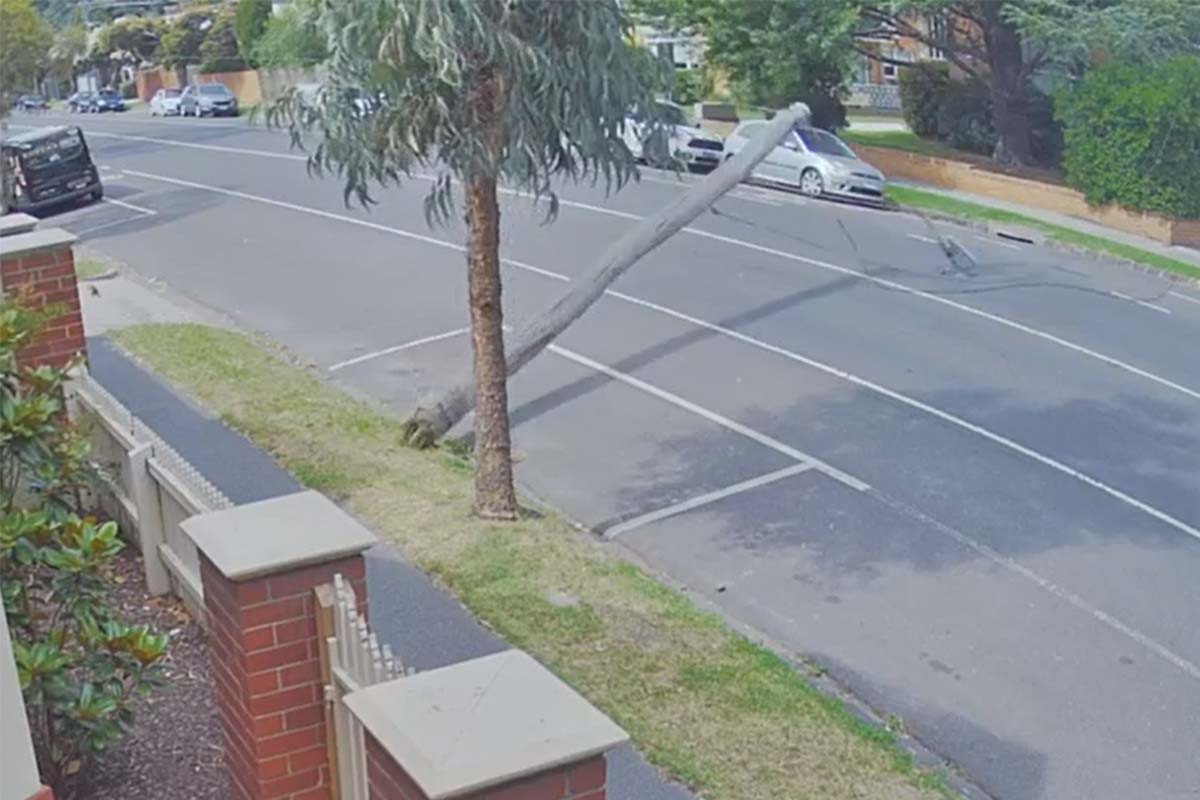 VIDEO: Lamp post falls straight across a Ripponlea street