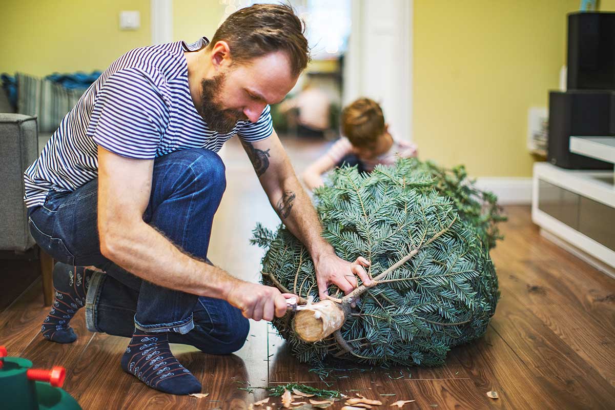 A simple tip to ensure your Christmas tree isn't a fire hazard this ...