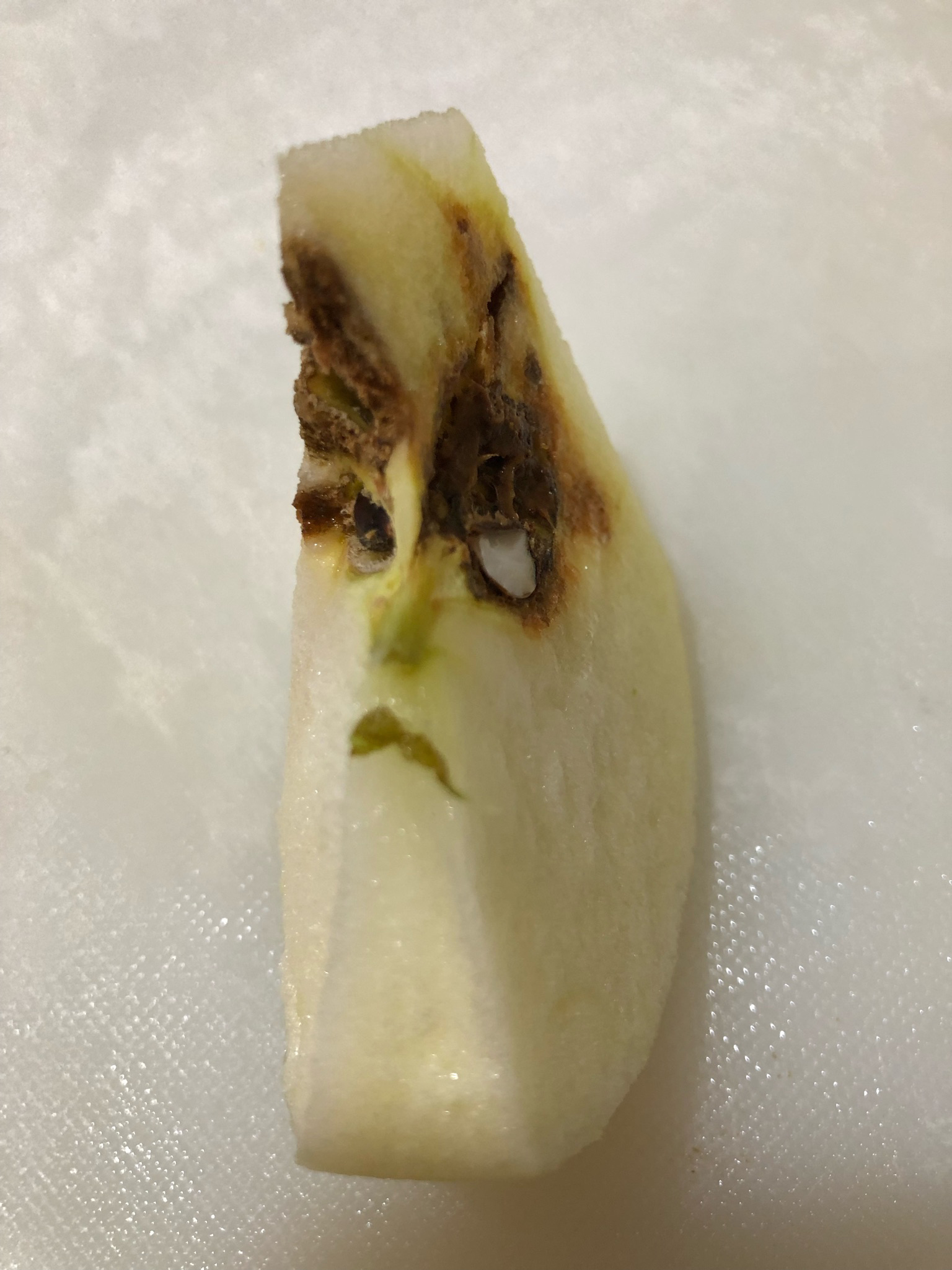 PHOTO GALLERY: Seeing faces in everyday objects