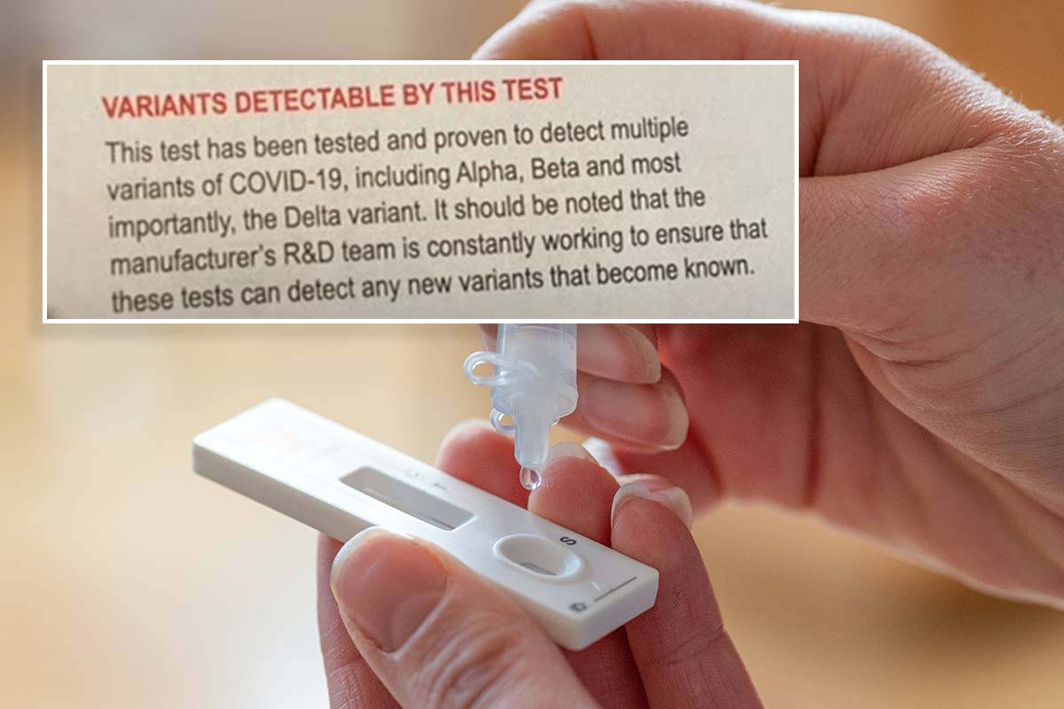 Expert clarifies after confusion over whether all rapid tests detect ...