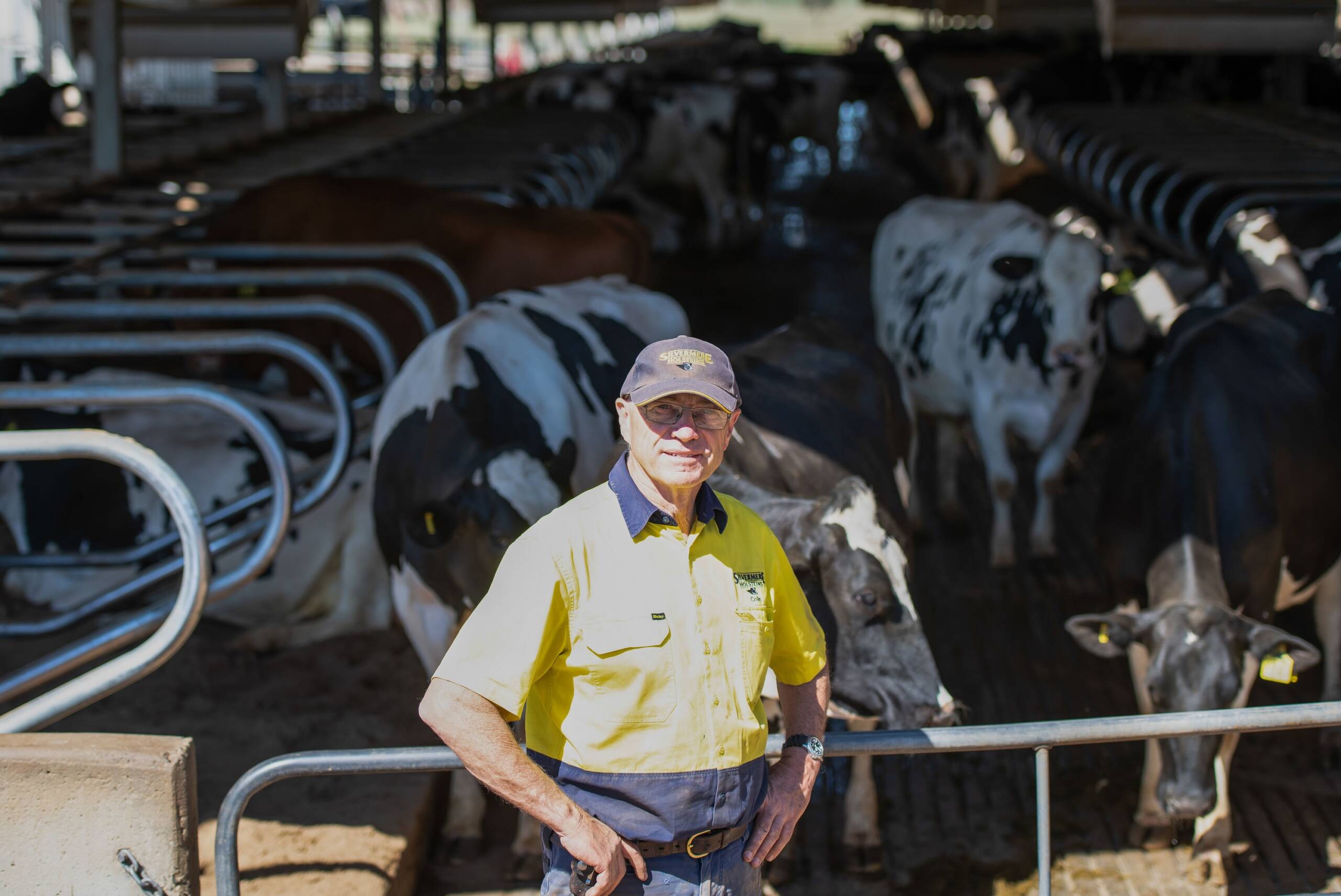 Woolies drought package call leaves dairy farmers hanging - 3AW