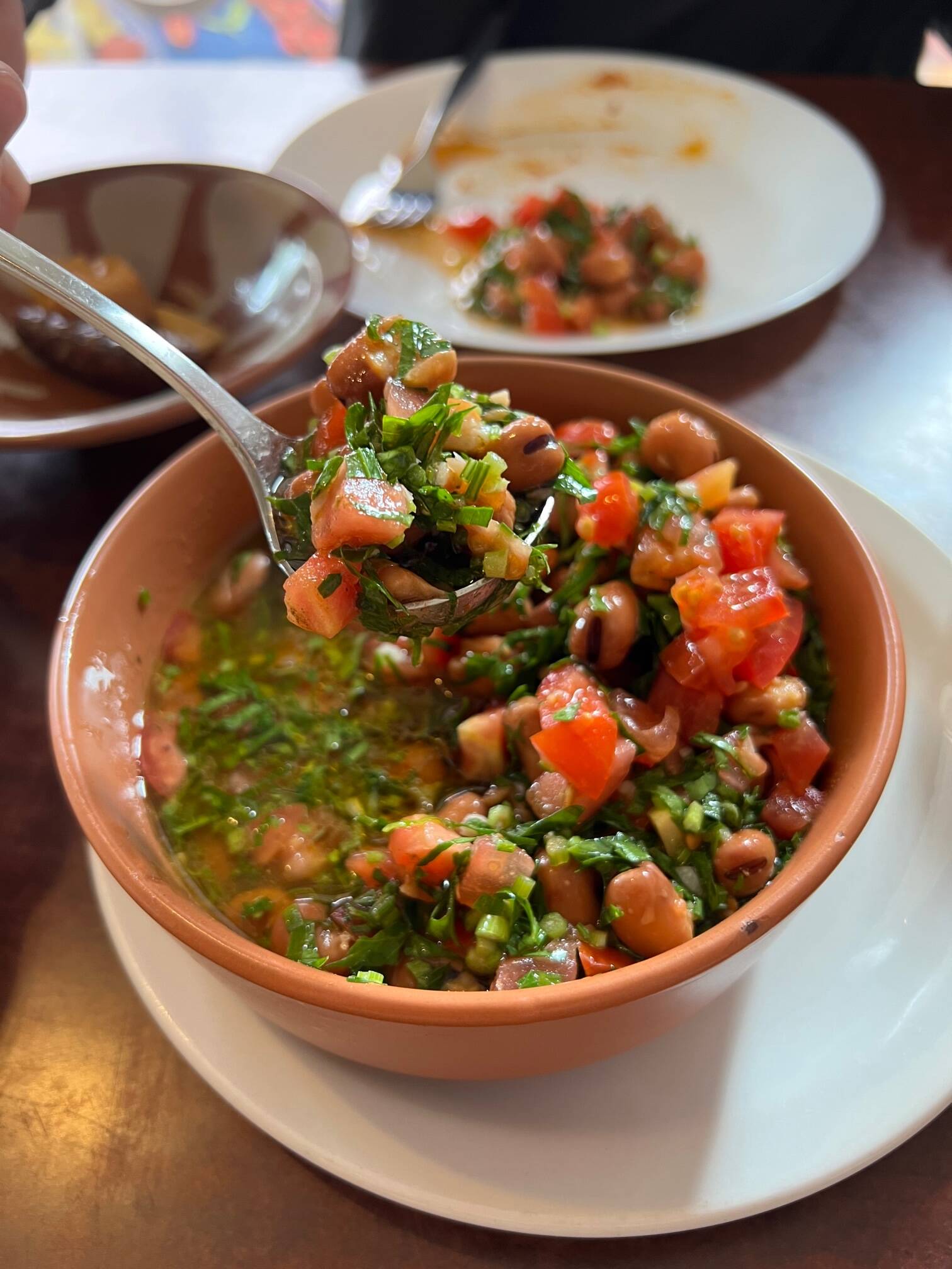 Sofia Levin reviews: Shamiat Syrian Restaurant — 'the dishes are ...