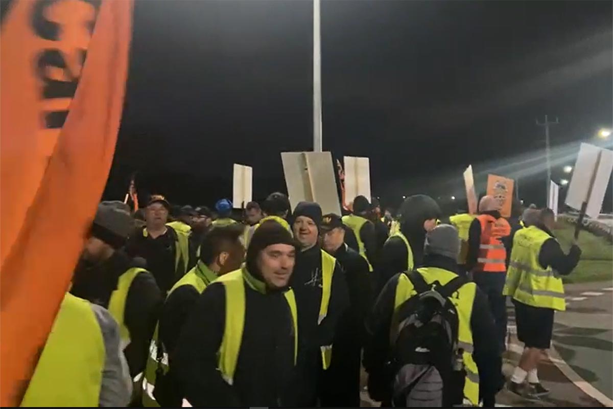 Commuter pain as more than 1500 bus drivers strike