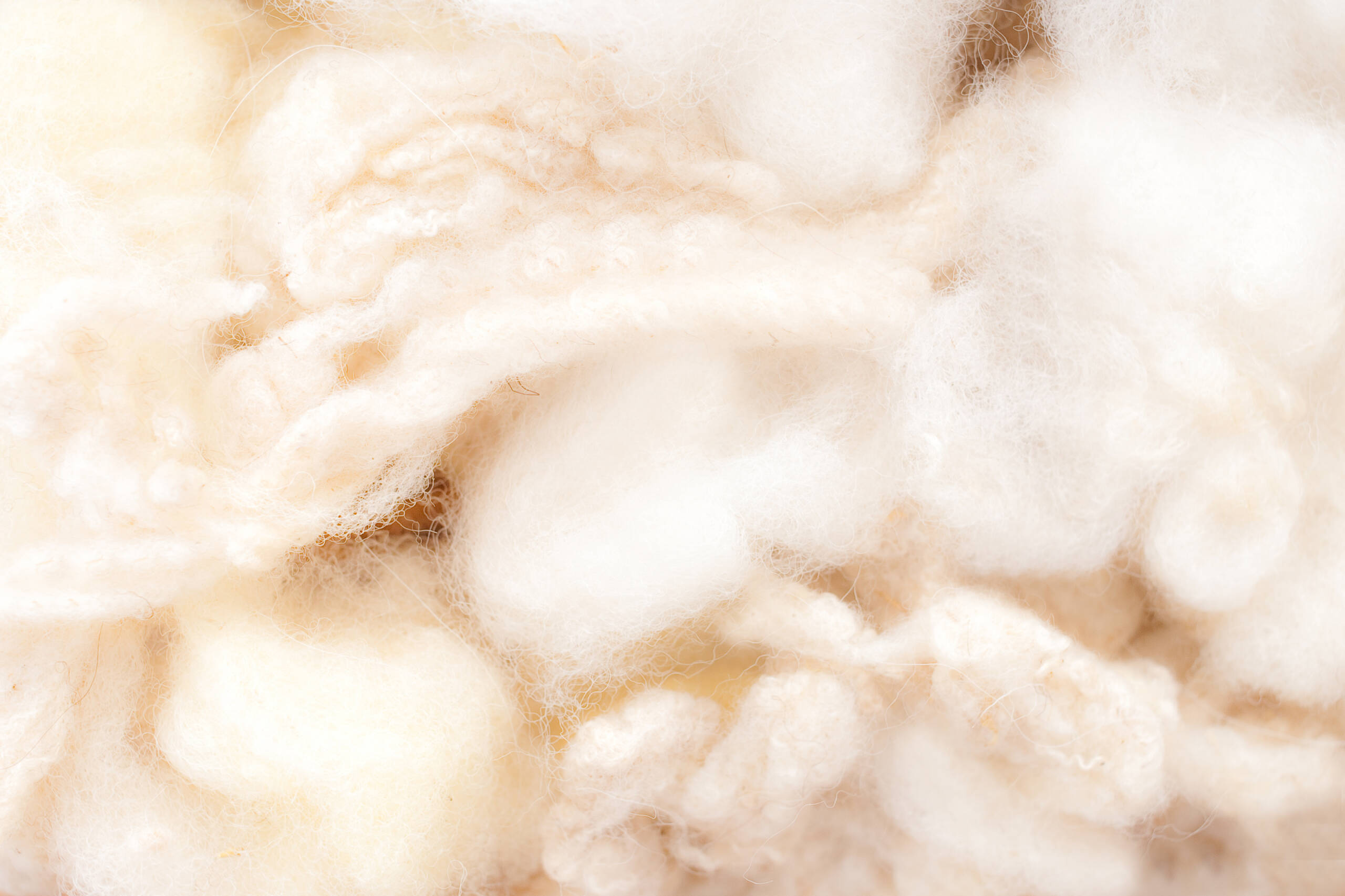 Wool production steadily increasing. - 3AW