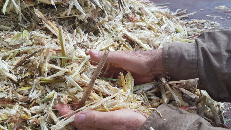 High-grade ingredients stemming from agricultural waste - 3AW