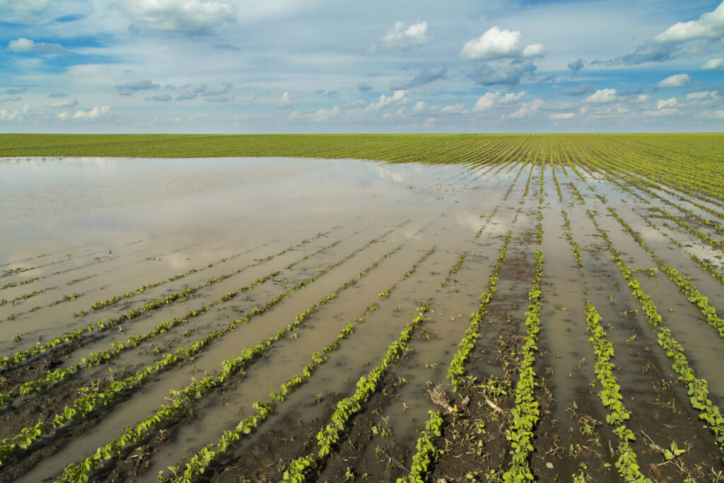 More devastation on the way for flood-hit farmers - 3AW