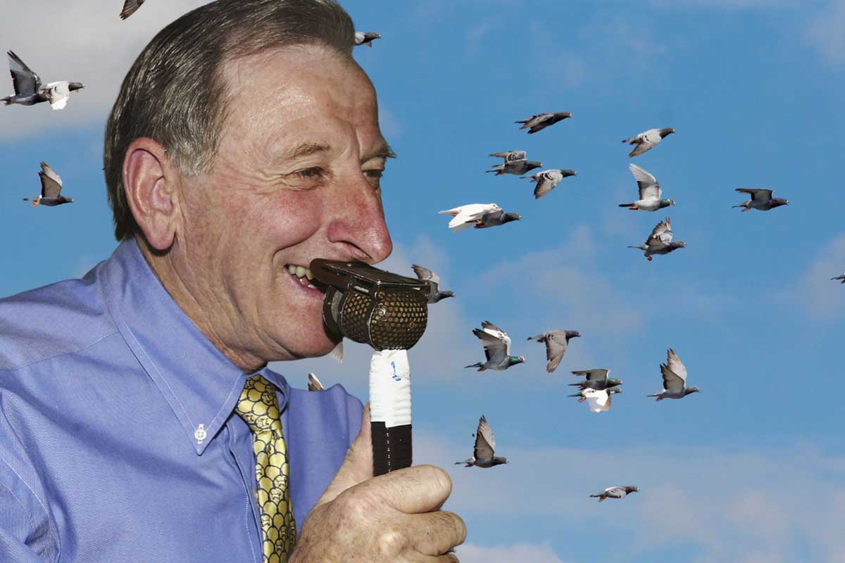 RUMOUR CONFIRMED: Australia's most well-known pigeon fancier enjoys big ...