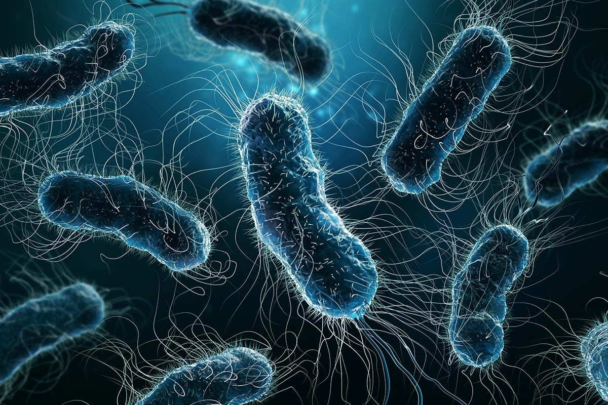 Alarm sounded over surge in cases of 'really horrible' preventable disease