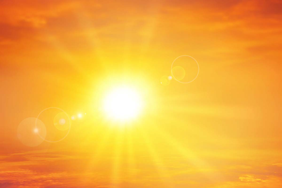 Melbourne forecast to swelter through hottest day of the year tomorrow