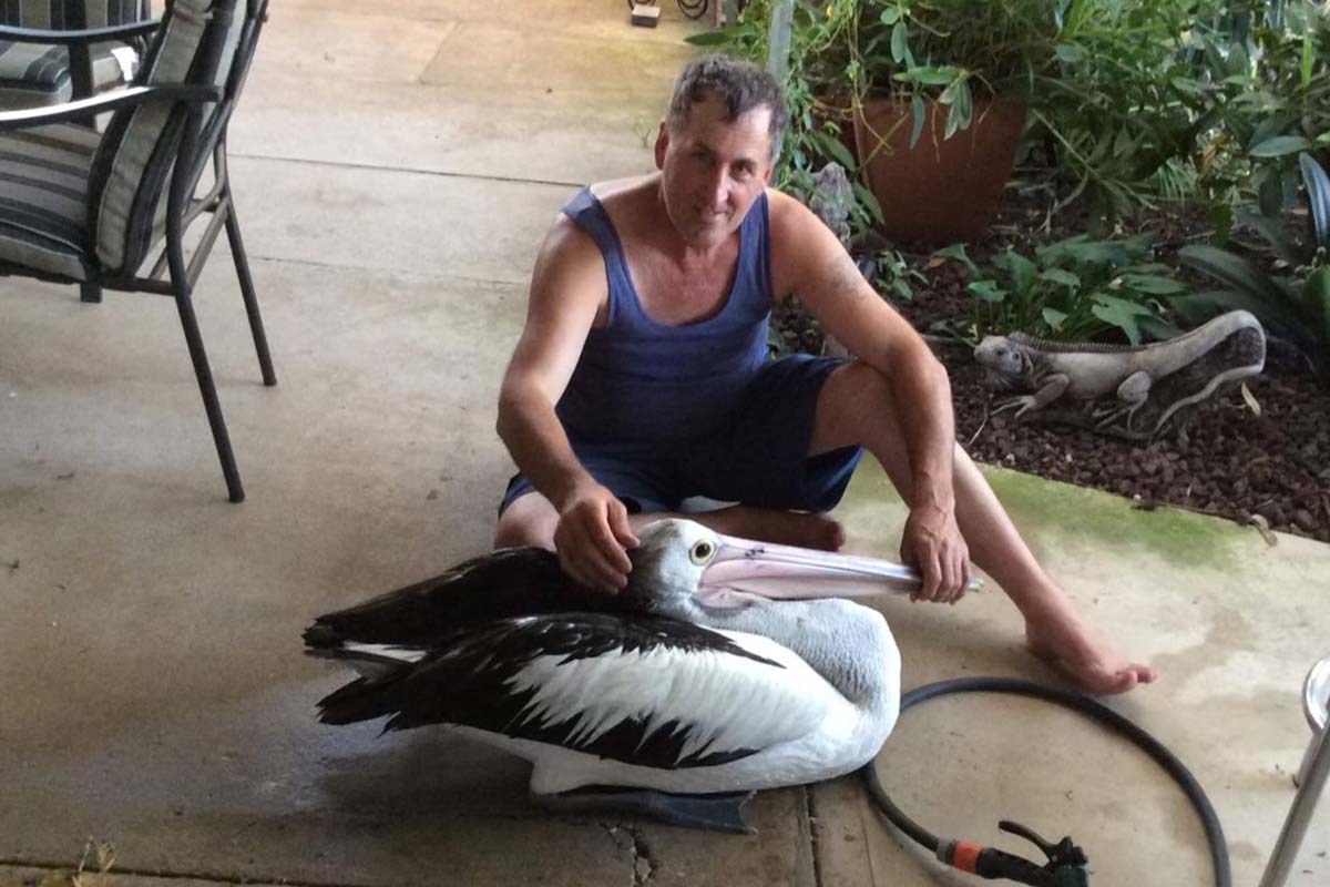 The pelican story that left Tony Jones crying with laughter!