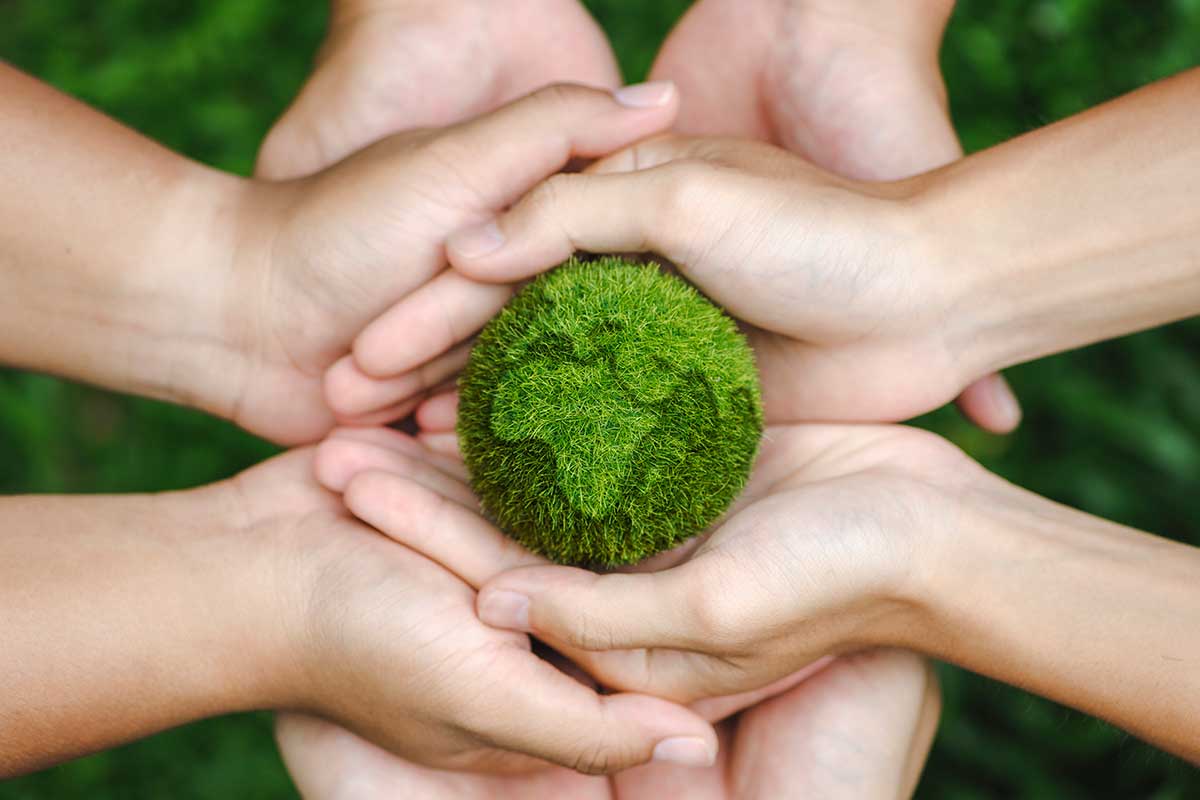 Why older Australians are the 'true greenies'