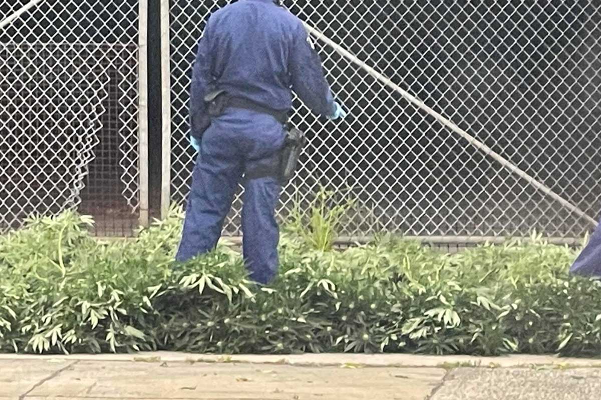 3AW Drive is alerted to a bayside drug bust