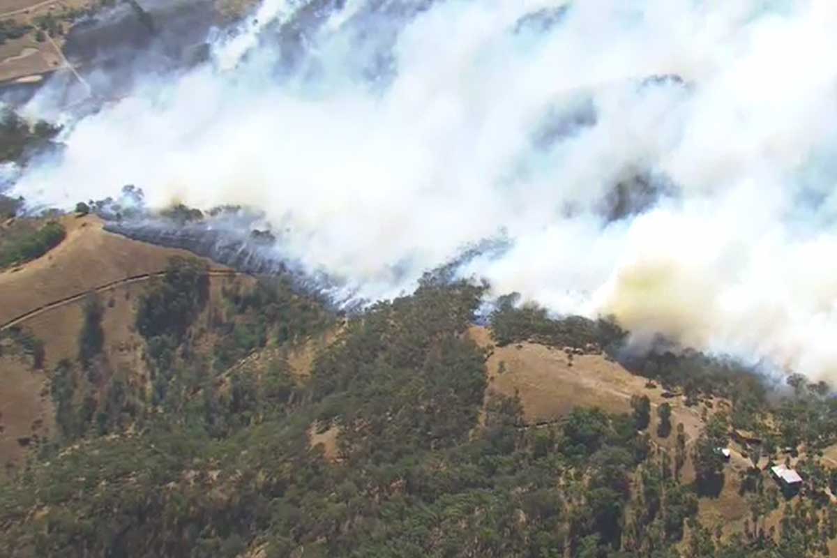 LATEST: Arrest made over Flowerdale fire