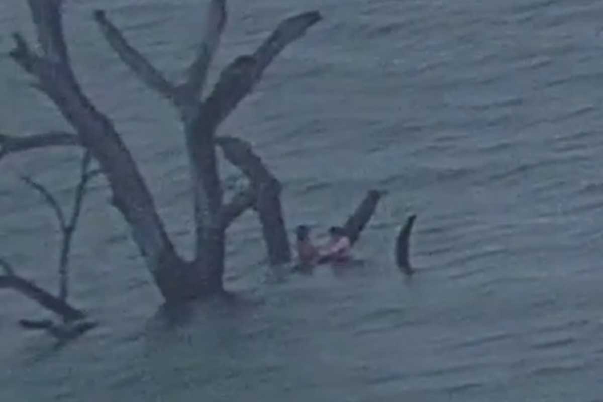 Police investigate boat that 'sank like a stone' at Lake Eildon