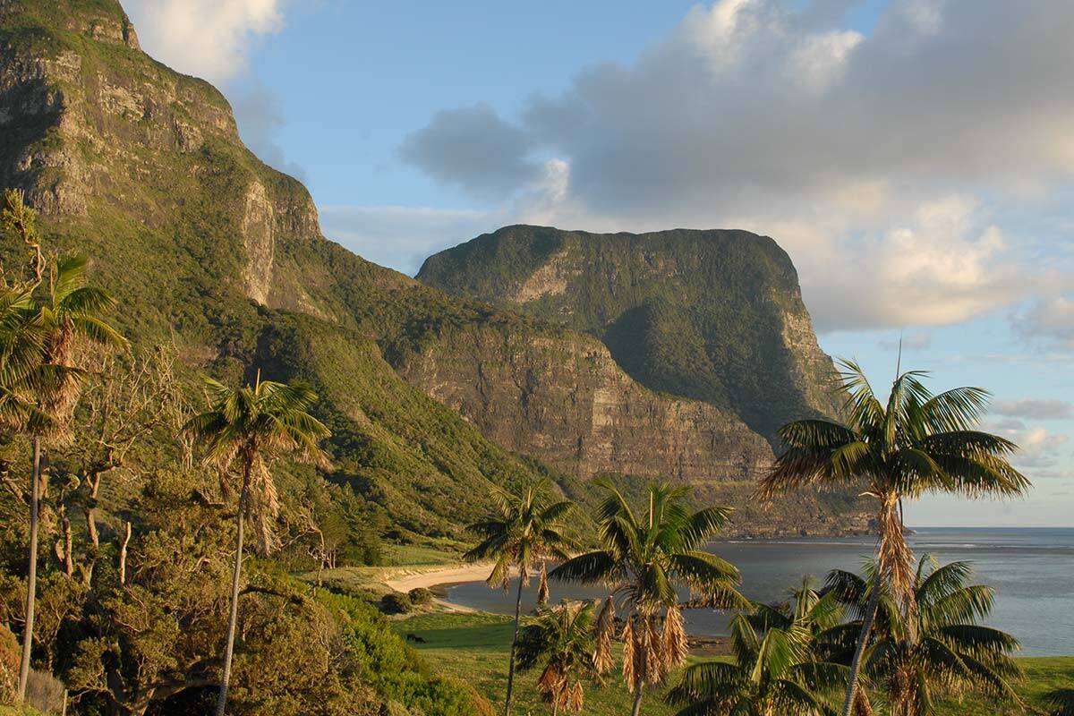 Fungus shuts down most of Lord Howe Island Fungus shuts down most of Lord Howe Island