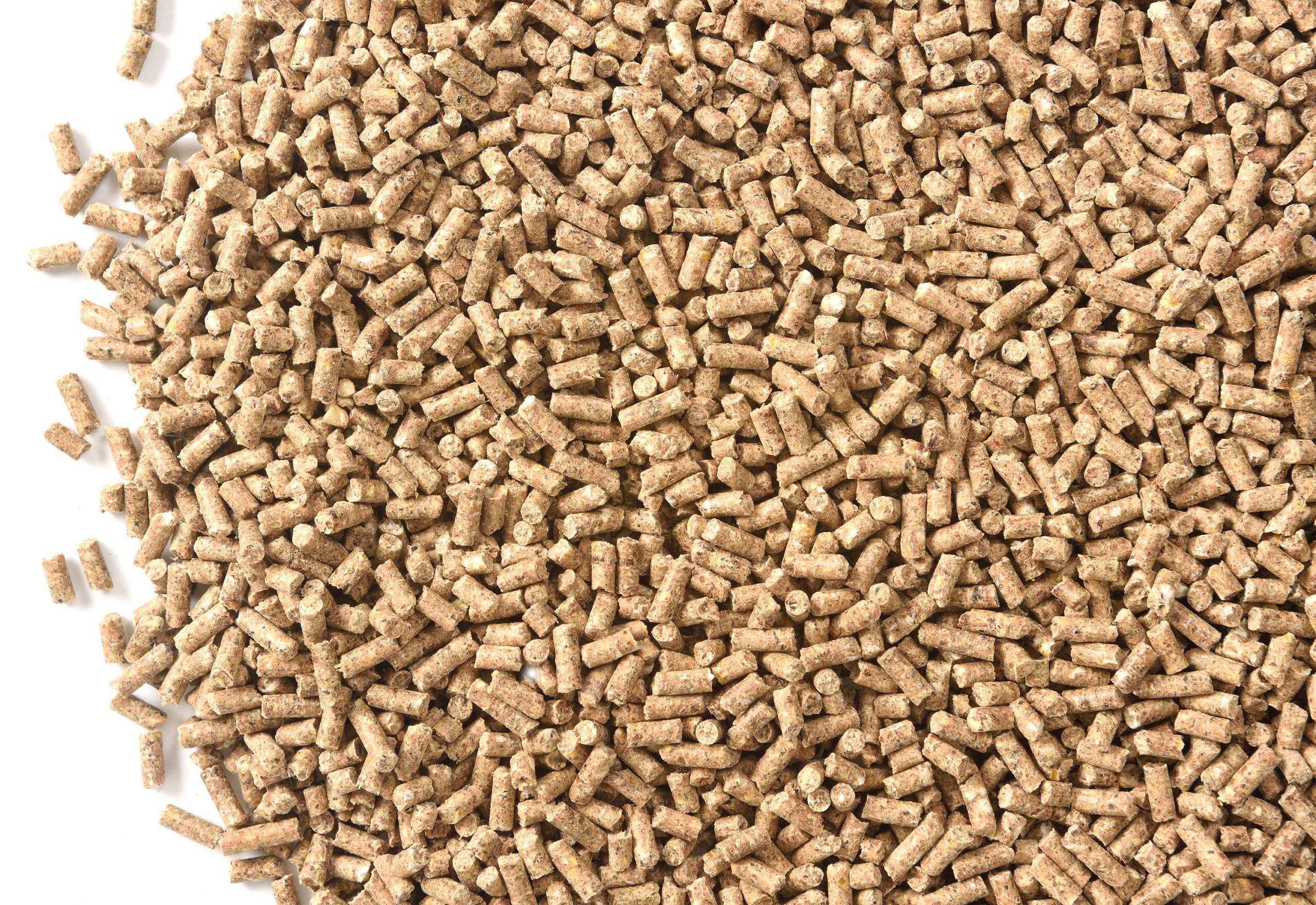 Turning food waste into animal feed - 3AW