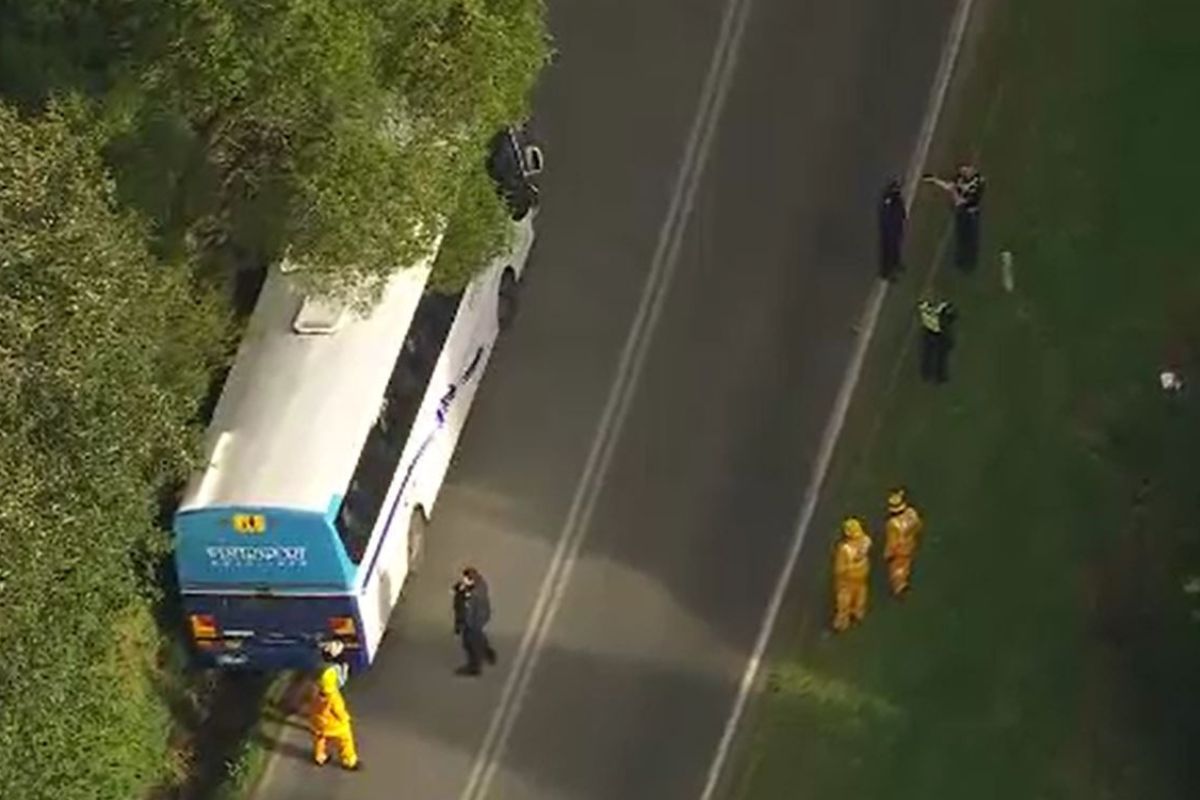 Sixteen children rescued following bus crash in Gippsland