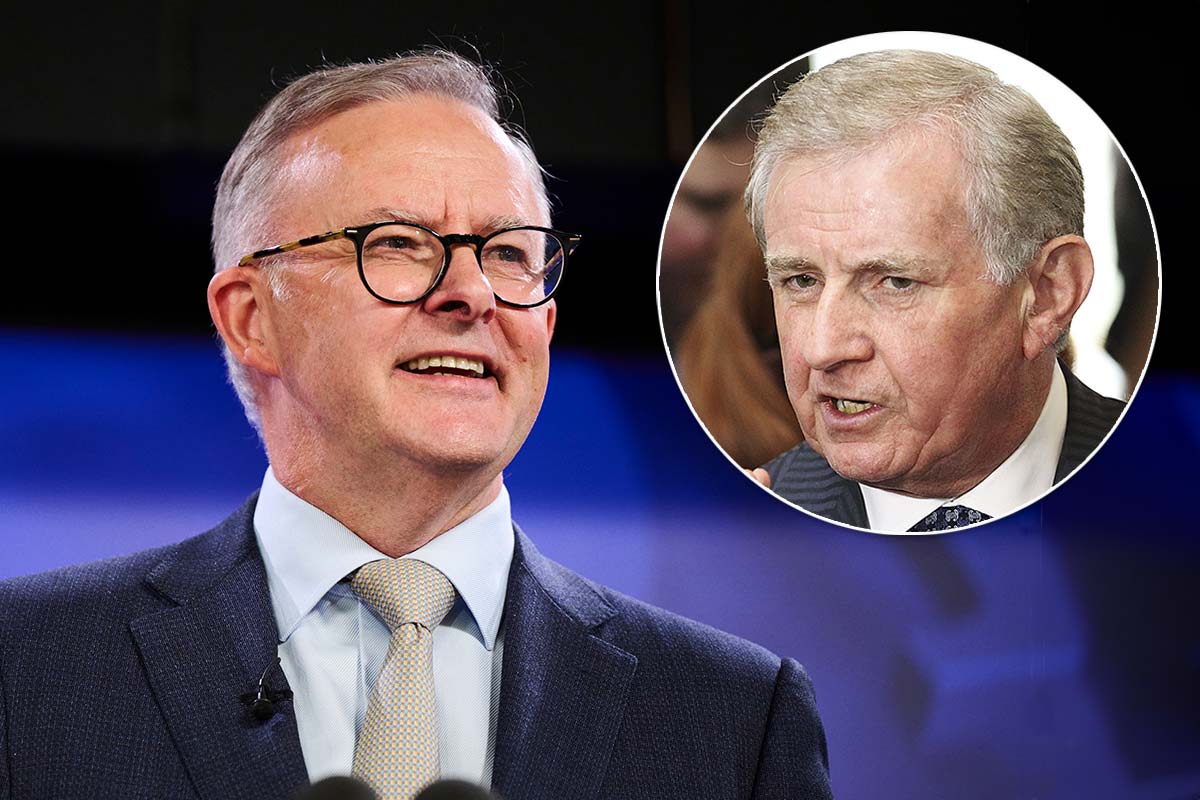 'Made such an incredible difference': Albo's tribute to Simon Crean