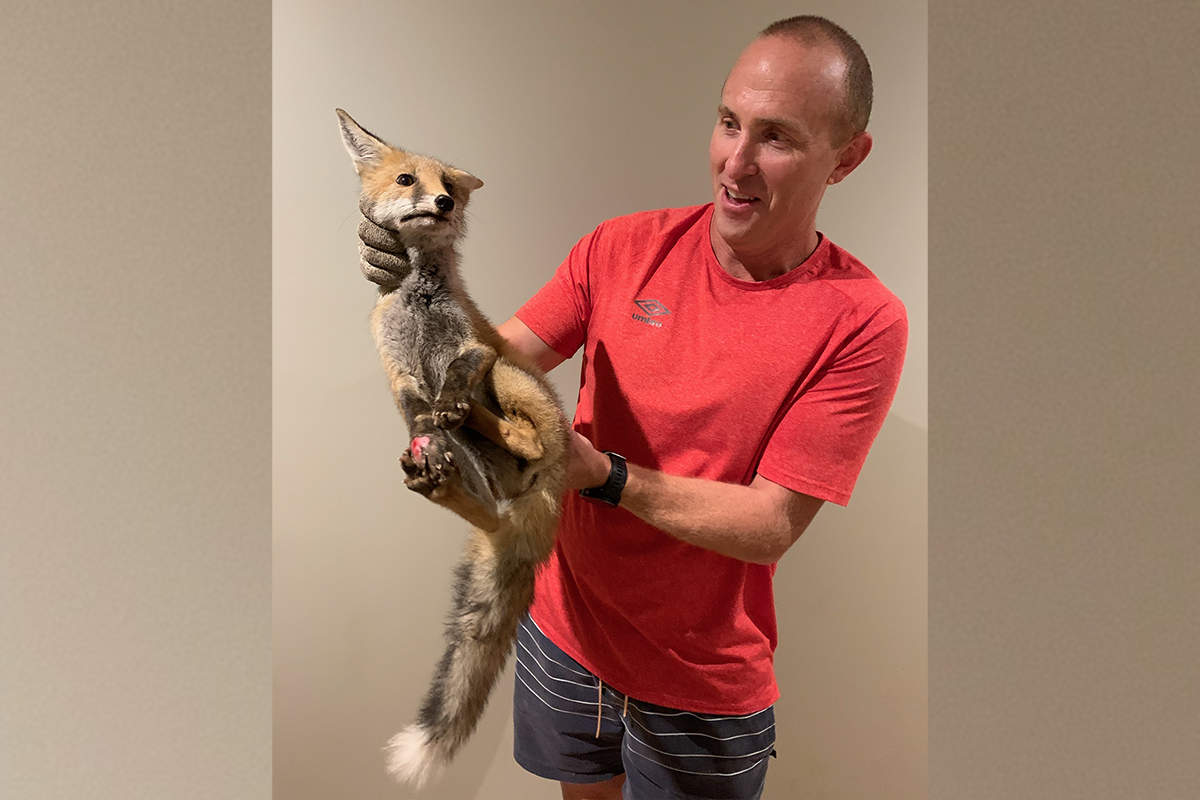 The man who caught a fox in his backyard by the scruff of the neck!