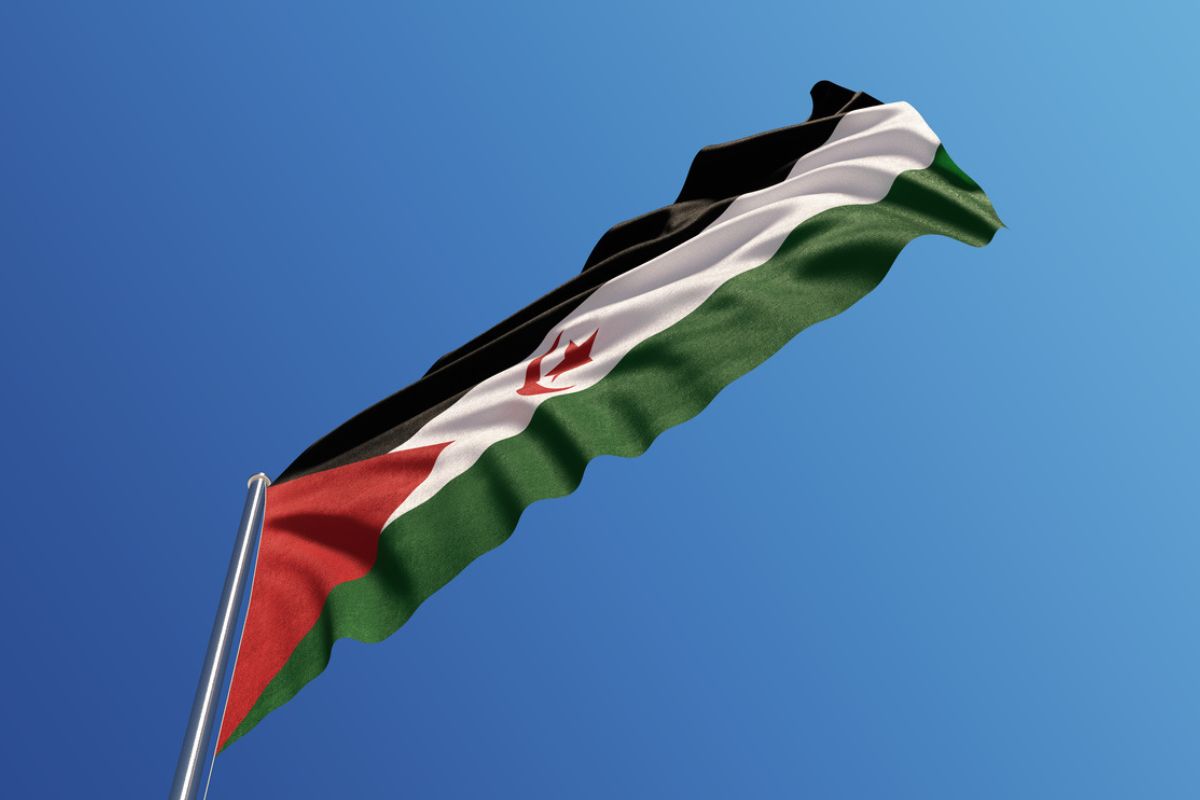 Questions raised over a council's decision to fly flag for nation that ...