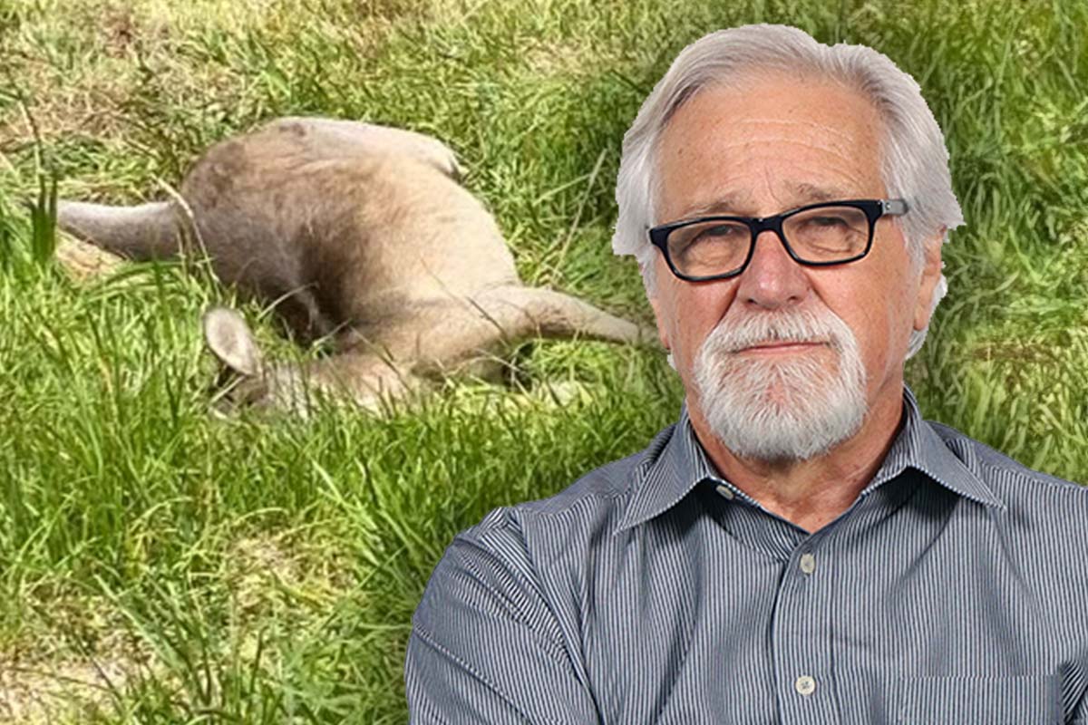 The disturbing incident which left Neil Mitchell concerned this morning