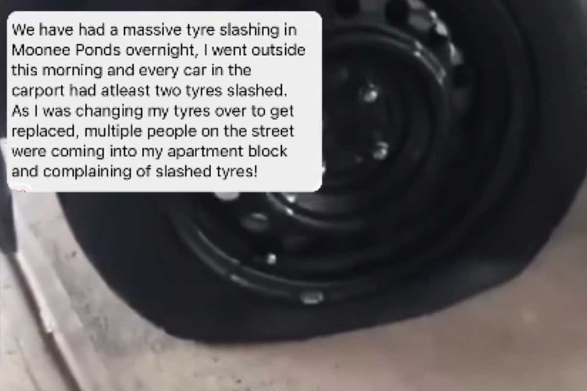 Twenty cars targeted in overnight tyre slashing spree