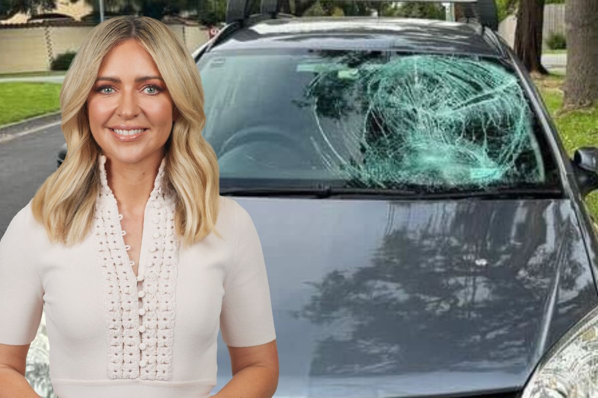 The 'special kind of evil' hit-and-run incidents which could prompt law ...