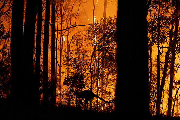 A-I Systems to help Prevent Bushfires - 3AW