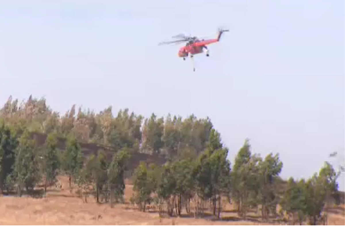 Nine News reporter provides update on catastrophic fire conditions in ...