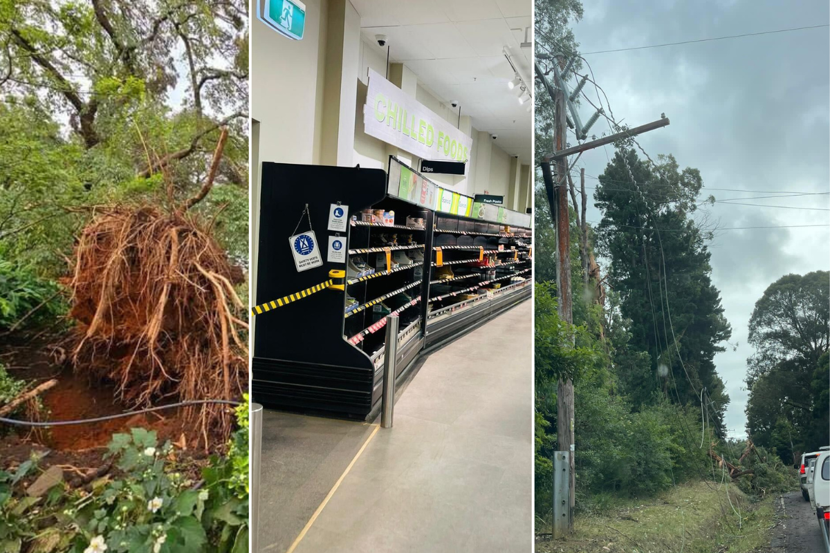 Emerald resident details storm devastation as power lines remain on roads