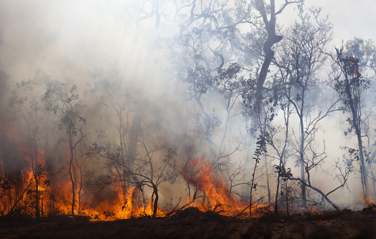 Out of control bushfires breaks out at Grampians National Park
