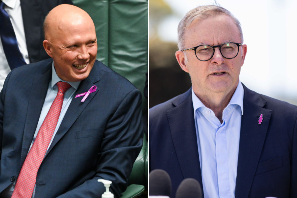 Political analyst provides insight into Dunkley by-election