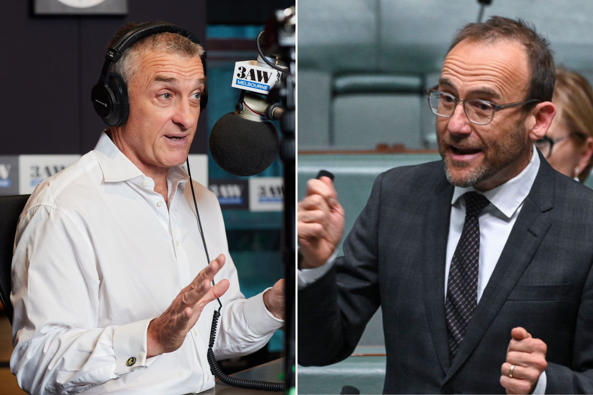 'This is hypocrisy!': Why federal Greens MP Adam Bandt has made Tom ...