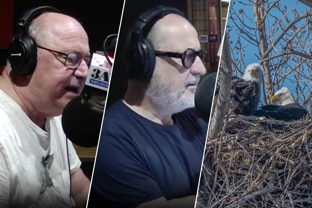 'Terribly addictive': Why Ross and Russ were fascinated by a pair of ...