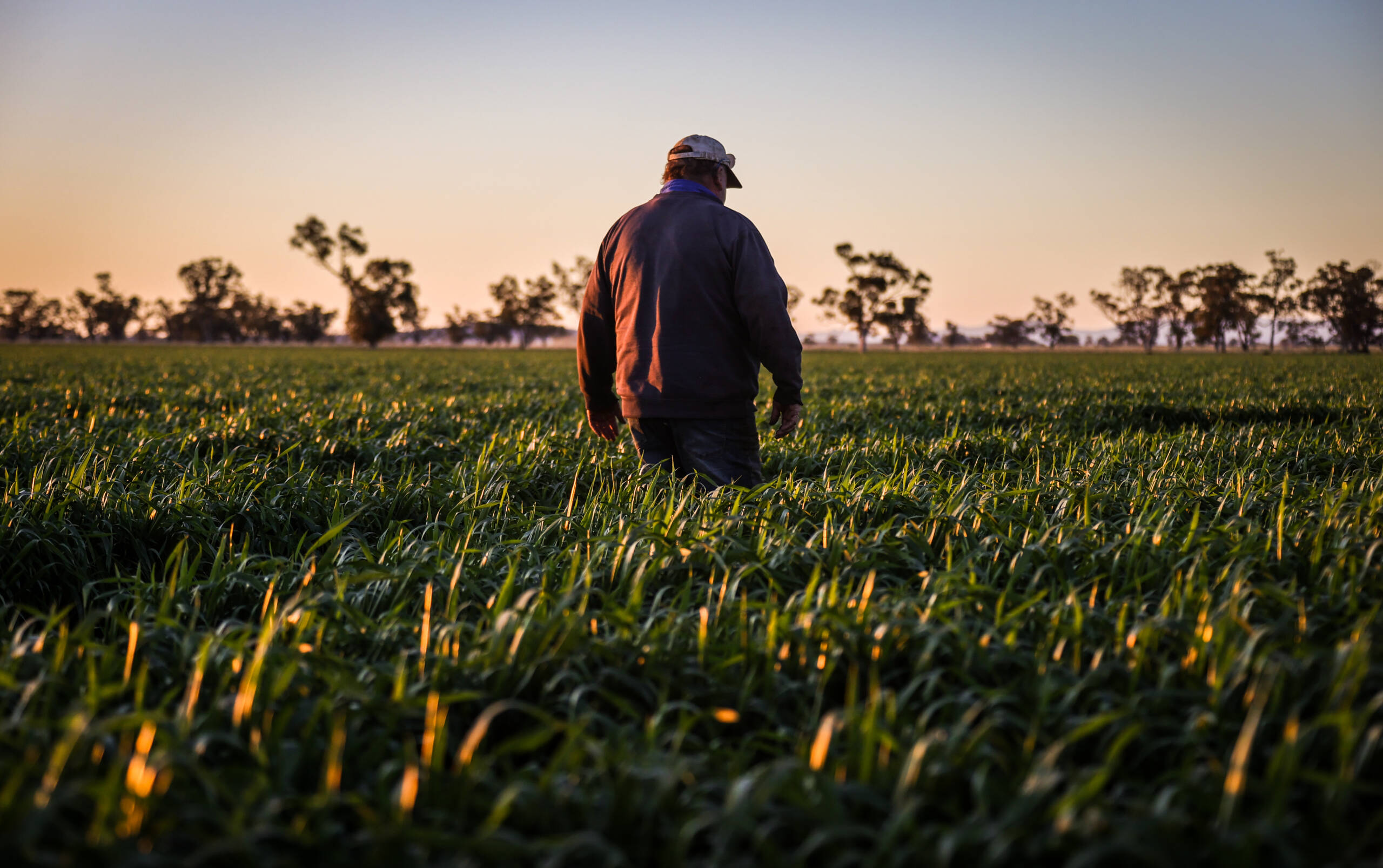 Farming Financial Concerns - 3AW