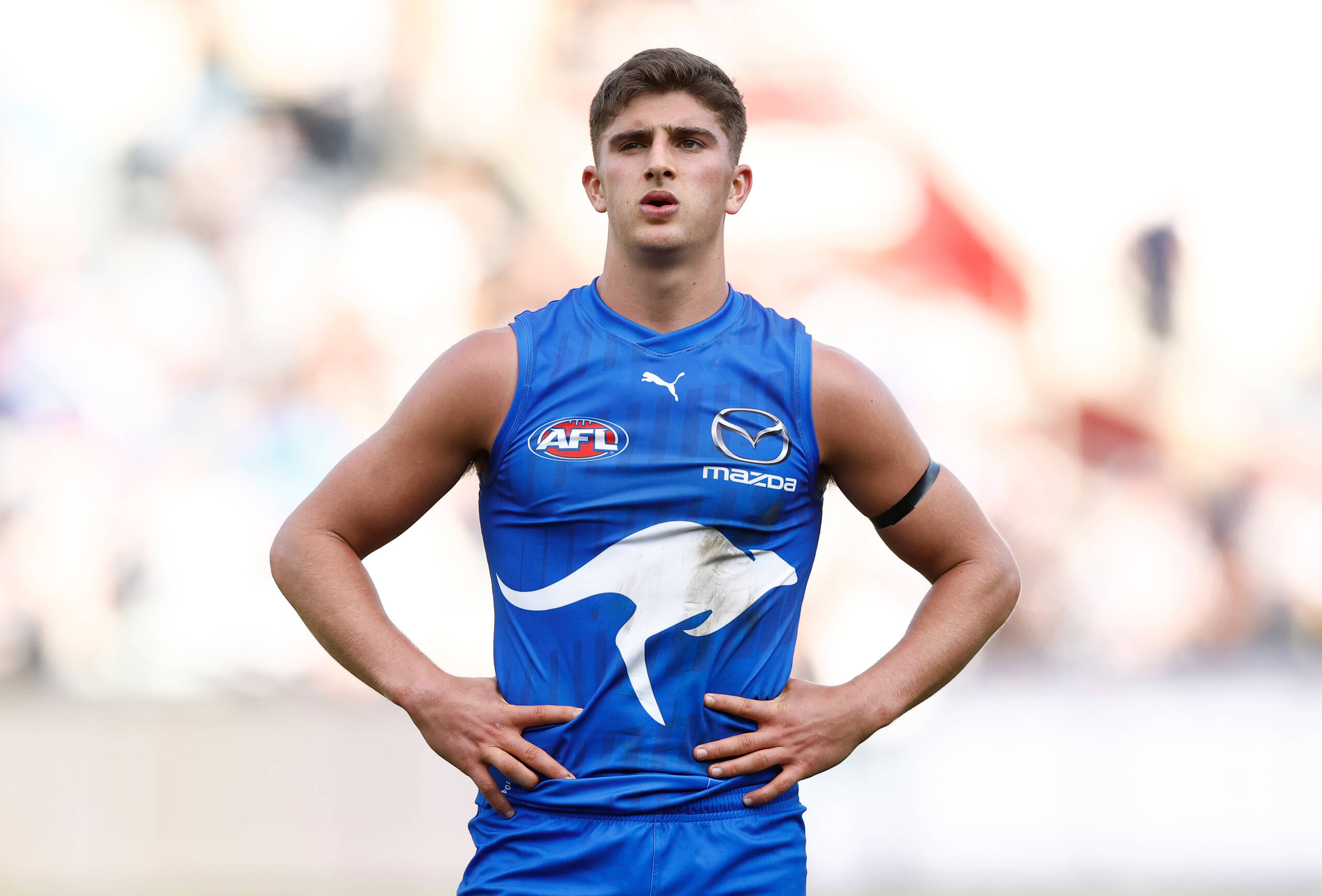 Harry Sheezel says he'll 'enjoy the challenge' of turning club's ...