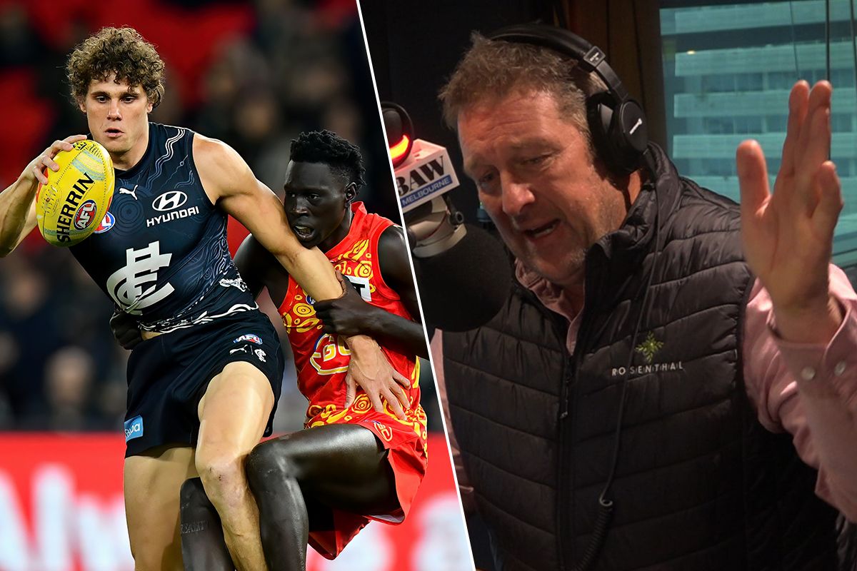 'I just don't get it': David Schwarz takes issue with the AFL's ...