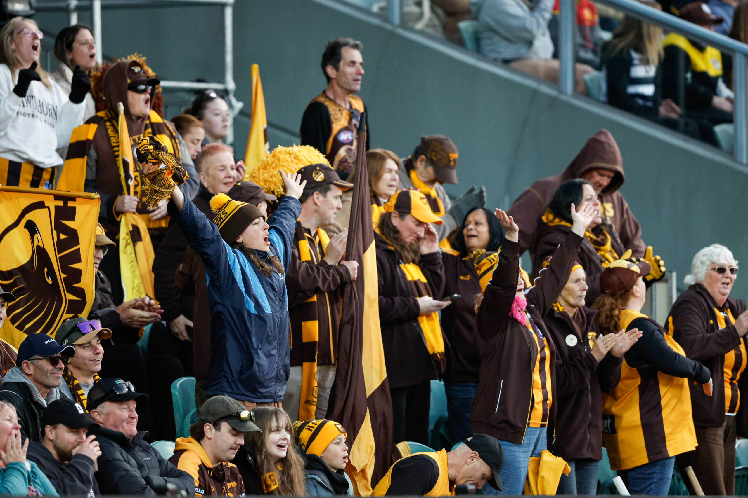 'This game is for everybody.' Mark Allen on exorbitant AFL ticket prices