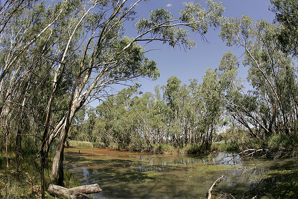 Basin communities plea for changes to water buybacks - 3AW