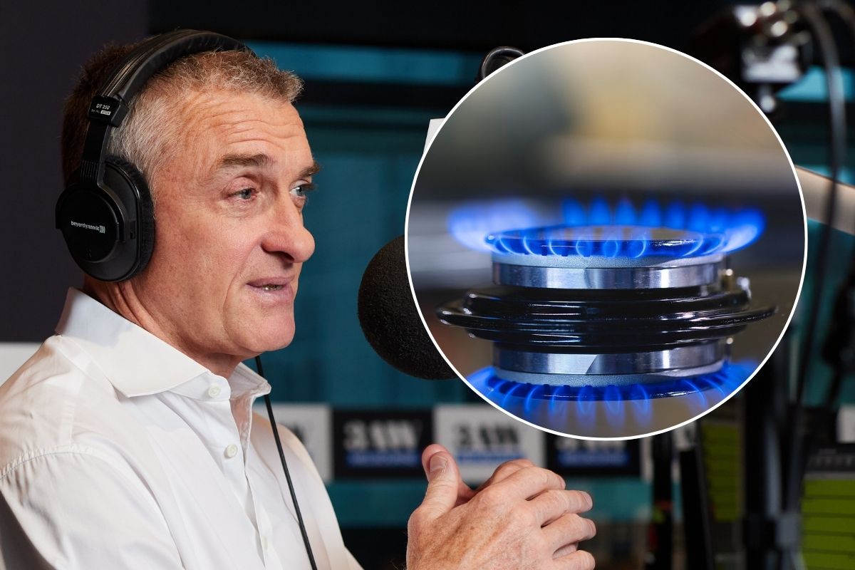 The proposal from Environment Victoria which Tom Elliott found ...