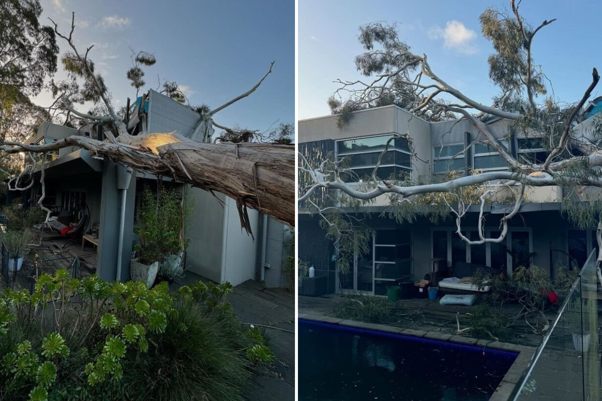 What you need to know: SES and meteorologist issues latest update after ...