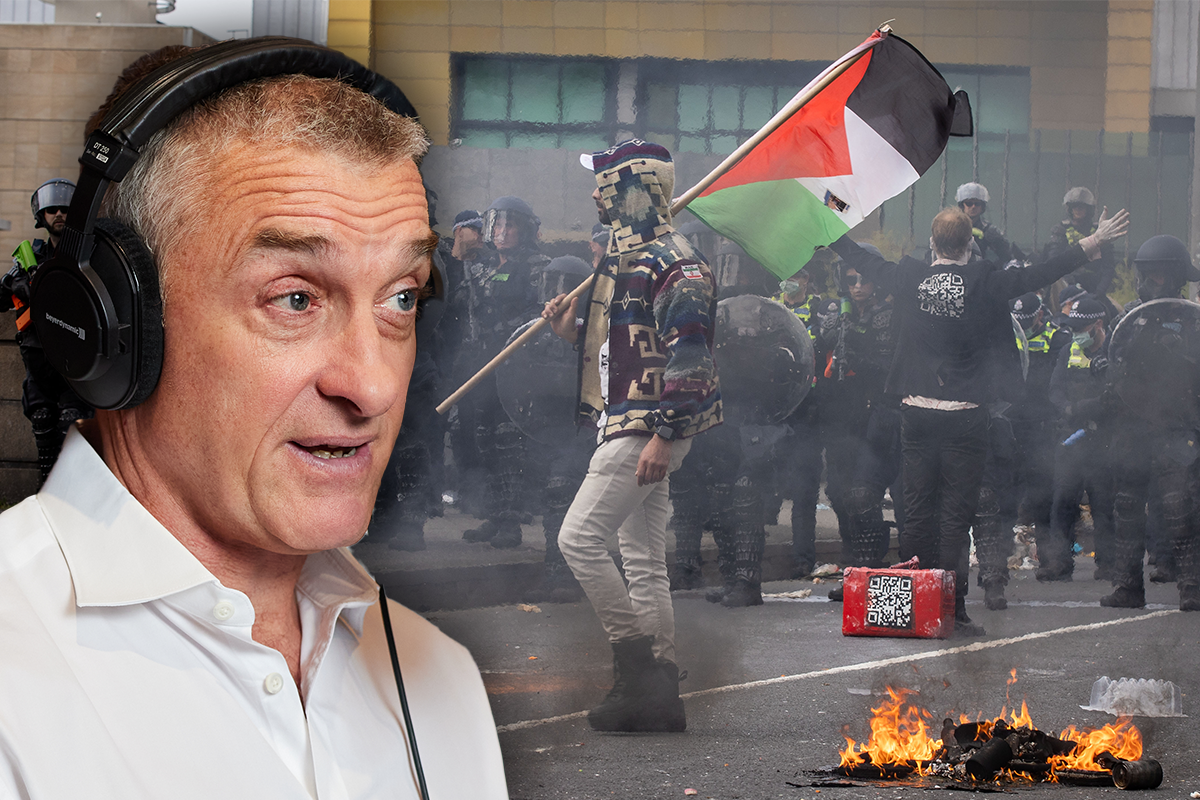 'Thugs': Tom Elliott calls for inquiry into far-left extremism ...