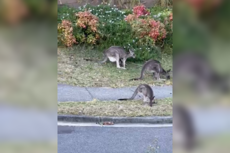 The Rumour File - 3AW